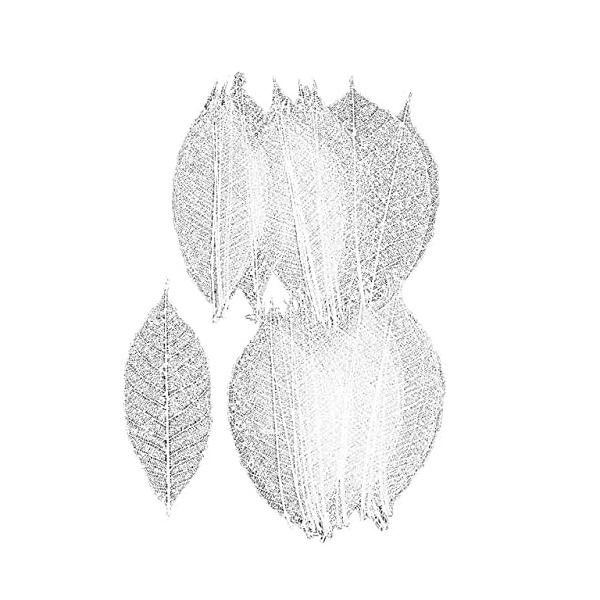 【ご購入後の当店からの連絡はご登録のメールアドレスに通知いたします。必ずご確認ください】【商品概要】約L7~9cm主な素材:天然素材原産国:日本国ドライフラワー ナチュラル素材ナチュラル素材ドライフラワーの鑑賞期間としては3~4ケ月くらいの...