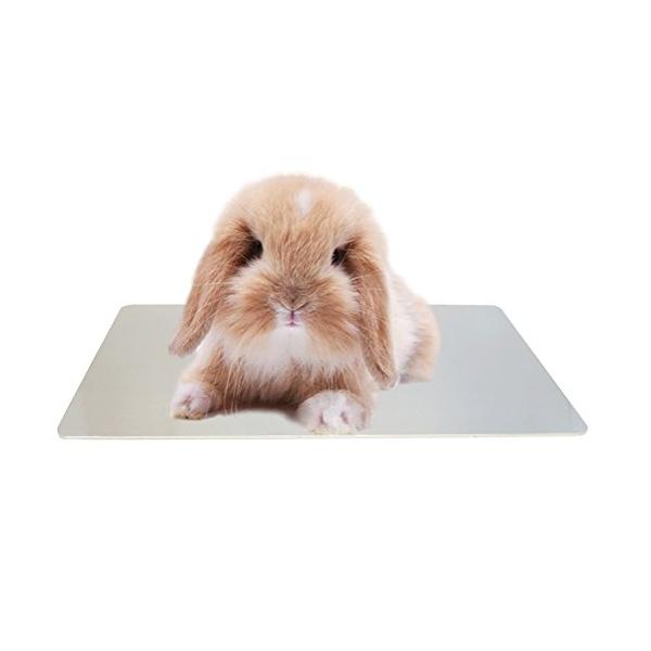 【ご購入後の当店からの連絡はご登録のメールアドレスに通知いたします。必ずご確認ください】【商品概要】30℃を超えるとうさぎは体調を崩したり、熱中症になったりします。暑くても28度以上にならないようにしましょう。放熱性に優れたアルミ製のヒンヤ...