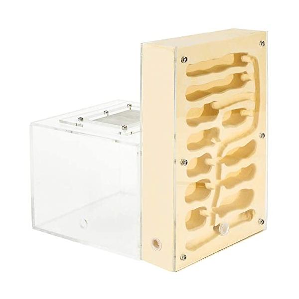 【ご購入後の当店からの連絡はご登録のメールアドレスに通知いたします。必ずご確認ください】※※※ 粗悪な模倣品を出品している業者にご注意ください。「販売元： EnergyPower 出荷元：Amazon」のみが正規品です。 ※※※石膏を使った...