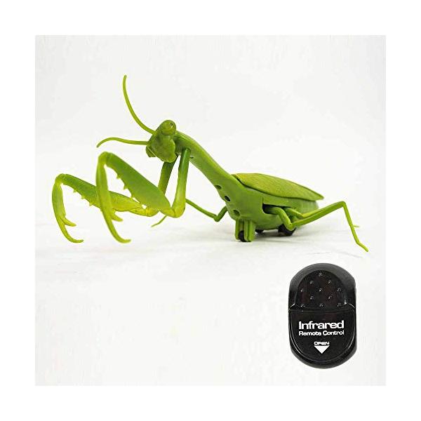 【ご購入後の当店からの連絡はご登録のメールアドレスに通知いたします。必ずご確認ください】