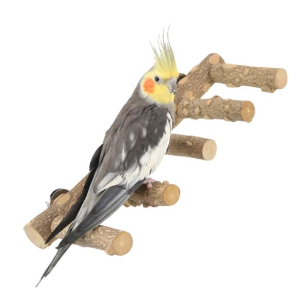 【ご購入後の当店からの連絡はご登録のメールアドレスに通知いたします。必ずご確認ください】【商品概要】階段状に5本連なる鳥の止まり木です。ぴょんぴょん飛び跳ねたり、上り下りしたり運動不足の解消になります。山椒の天然木そのまま、無着色・無塗装で...