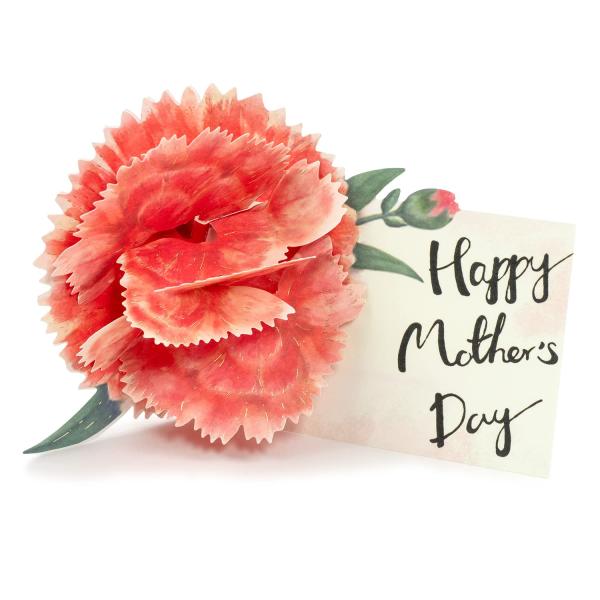 【ご購入後の当店からの連絡はご登録のメールアドレスに通知いたします。必ずご確認ください】【商品概要】定形サイズカード1枚・封筒1枚（レッド）【パッケージサイズ】 縦 約115mm x 横 約140mm【商品説明】【商品詳細】ブランド：Gre...