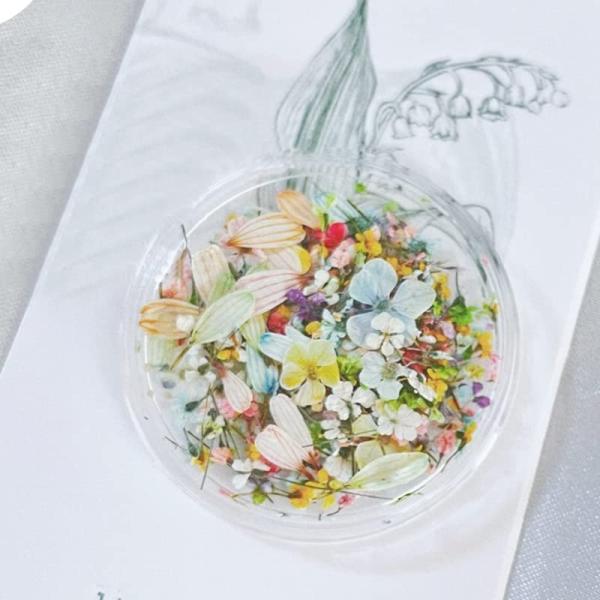 【ご購入後の当店からの連絡はご登録のメールアドレスに通知いたします。必ずご確認ください】【商品概要】【色】:ガーデン油絵シリーズ、色:B【素材】：天然花、色ごとにケースに入れてあるので保管も楽是非色々なアレンジで楽しんで下さいね♪【製品の用...