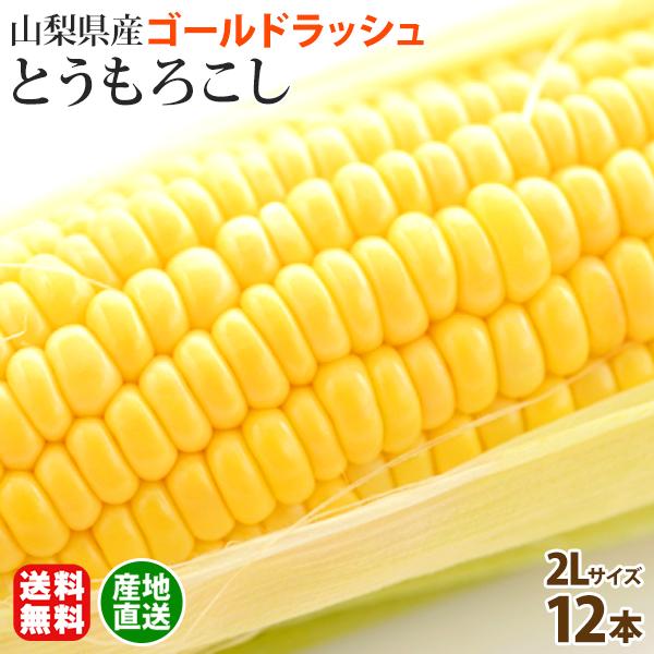 【ご予約承り中！】こだわりの特選品！平均糖度18度のとても甘いとうもろこしです。山梨県の農家が手塩にかけて育てた逸品です。■品名:山梨県産 とうもろこし 2Lサイズ■産地:山梨県甲府市■内容量:約6kg(12本入)■品種:ゴールドラッシュ■...