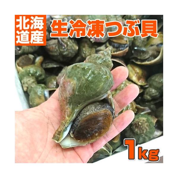 ■安くて旨い！■北海道の名物の一つとして、多くの道民に親しまれている「青つぶ」。白つぶとは違い、噛みしめると甘みがありコリコリとした食感もこれまたなんとも言えません。貝特有の臭みもないため、焼きツブやツブの醤油煮なんかにすると抜群に旨い！ビ...
