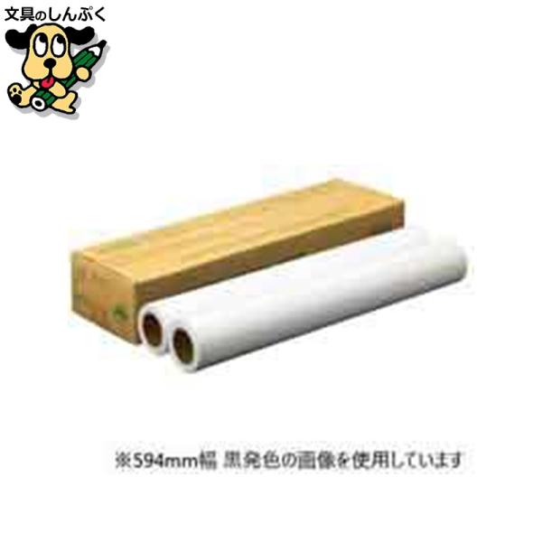 ポスタプリンター専用紙です。安価で屋内掲示に適し、用紙そのものが発色するタイプの直接印字記録紙です。●1箱入数：2本●用紙寸法（幅）[mm]*：594●用紙寸法（長）[m]*：30.3●本体色：白地●発色色：ブルー●長[m]：30.3●タイ...