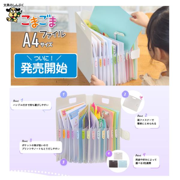 【商品詳細】●蛇腹形状なのでワンアクションで中身を取り出すことができ、使用後は閉じるだけで片付けが完了します。●内側のポケットの高さを低くしているので中身が分かりやすいです。（※インデックスシール付きで分類できます）●面ファスナー付きで中身...