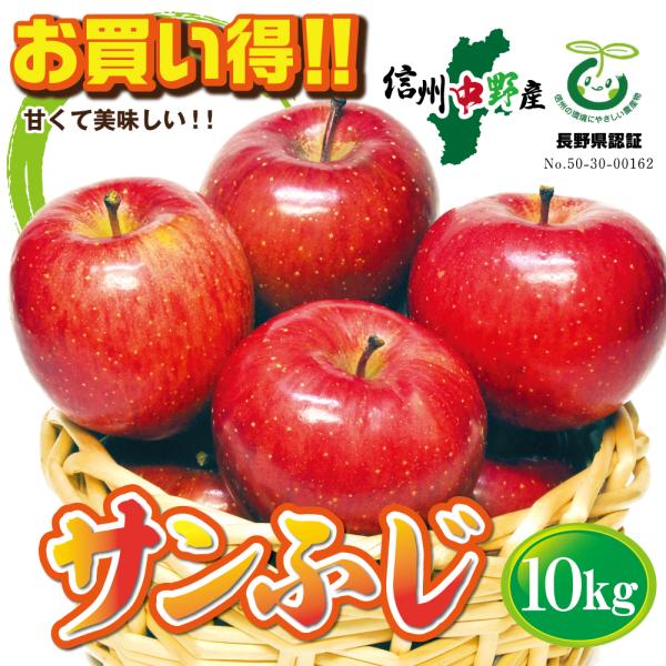 【発売日：2023年11月23日】名称：りんご（サンふじ）内容量 ：10kg（21〜40個）保存方法 ：冷暗所に保存してください。製造者：信濃オーガニック株式会社　〒383-0052 長野県中野市大字安源寺1028備考：キズ・凹み・色むら多...