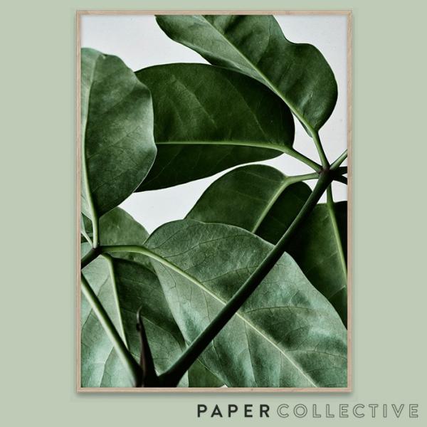 【発売日：2019年07月17日】Paper Collective（ペーパーコレクティブ）ポスター グリーンホーム01　50x70cm「ペーパーコレクティブ」は、2年前に立ち上げた新しいブランドです。 世界中で活躍するデザイナーさんのポスタ...