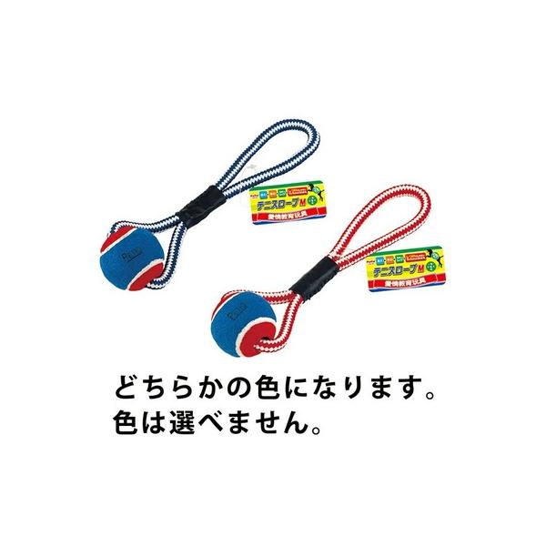 紐とテニスボールを組み合わせたしつけ用玩具。引っ張り合いをすることでワンちゃんとのスキンシップがはかれます。