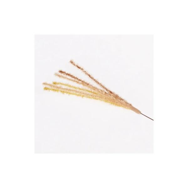 本物のススキにそっくりな猫ちゃんのお遊び草。本物とちがって綿毛が散らない!枯れない!衛生的!