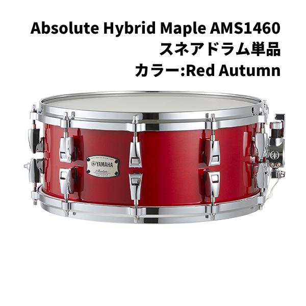 ヤマハ アブソルート ハイブリッドメイプル スネアドラム 14インチx6インチ