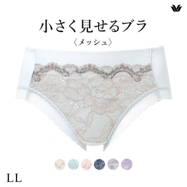 □関連キーワード240328 250821 パンツ 下着 肌着 スタンダードショーツ ノーマルショーツ レギュラーショーツ プレーン ビキニ フルバックショーツ おすすめ 人気 トレンド ブランド セール LLサイズ XLサイズ 大きいサイ...