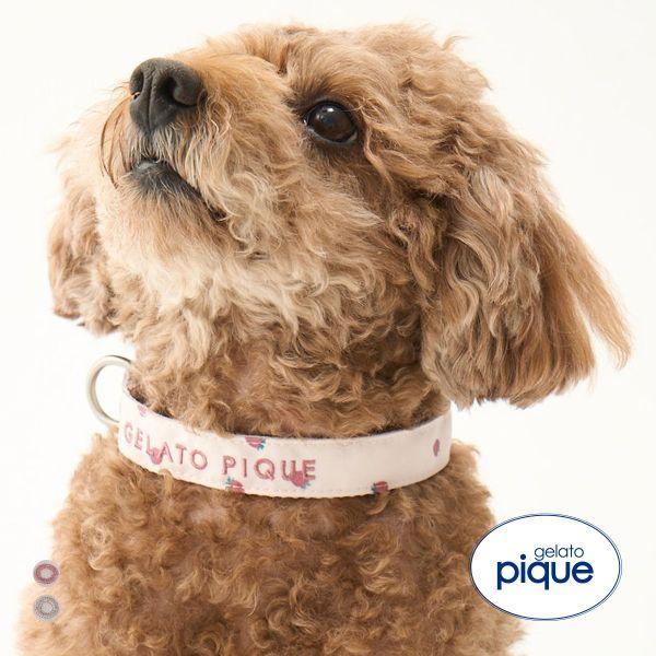 □関連キーワード250501 250917 ペット用品 ペットグッズ 通販 ペット 犬 猫 雑貨 小物 グッズ ギフト用 プレゼント用 かわいい 可愛い おしゃれ ブランド ge_ld ge_ex□素材本体：ポリエステル100％□サイズS、...