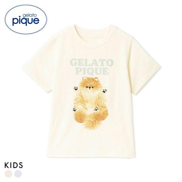 □関連キーワード260312 半袖 カットソー トップス プルオーバー ジュニア キッズ 子ども用 子供用 子供服 ギフト用 プレゼント用 秋冬 秋用 春用 ルームウエア 部屋着 寝巻き 寝間着 かわいい ガールズ 女児 ボーイズ 男児 動...