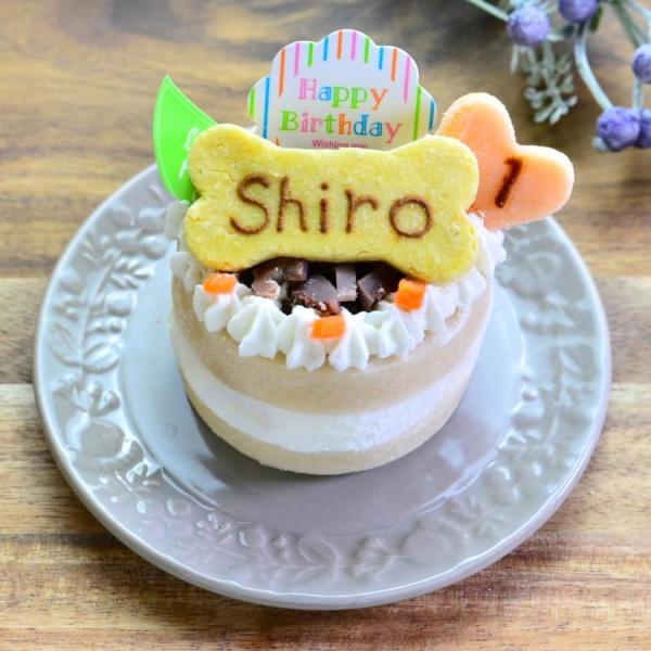 高タンパク、低カロリー♪へルシーなささみで作ったケーキ。大切な記念日のお祝いに。お名前・年齢入り。(お名前は6文字まで)【土台部分】直径　約5.5cm【カロリー】52kcal【原材料】・土台ささみ、ゼラチン・デコレーションじゃがいも、カッテ...