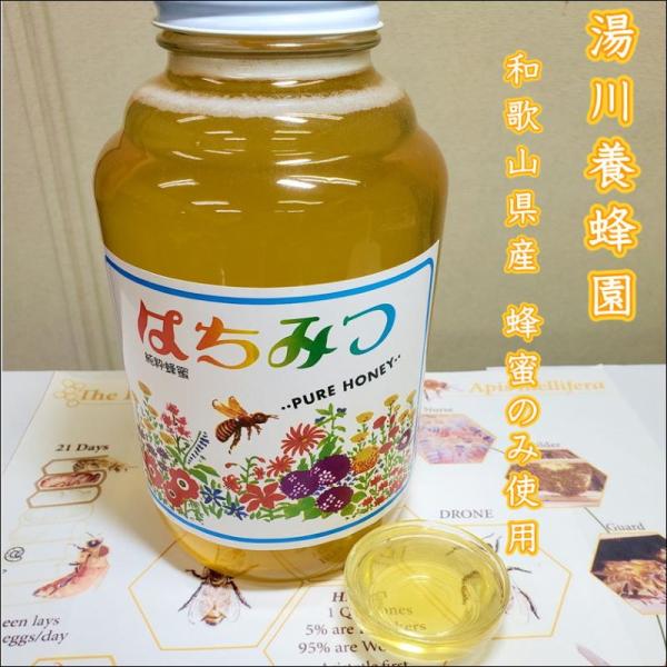 国産　和歌山県産の百花蜜（大容量の１．２ｋｇ） 湯川養蜂園　蓮華草・クローバーその他いろいろな花の蜜を集めてものです。厳選されたはちみつで、一味違うものがあります！