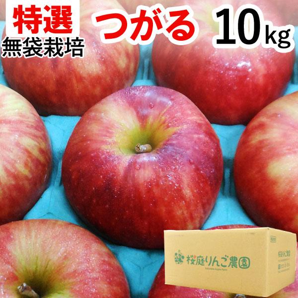 化学肥料は一切使用せず自家製有機肥料にこだわり、「わい化栽培」によるより良い土壌でたくさん太陽を浴びた無袋栽培とりんごの濃度を上げる葉とらず栽培で、完熟した自然の味をお楽しみください。毎年大人気のりんごです。青森県津軽より今年も豊かな味と香...
