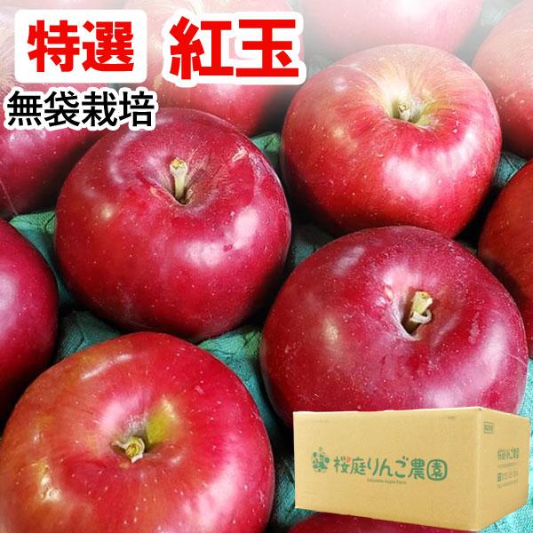 化学肥料は一切使用せず自家製有機肥料にこだわり、「わい化栽培」によるより良い土壌でたくさん太陽を浴びた無袋栽培とりんごの濃度を上げる葉とらず栽培で、完熟した自然の味をお楽しみください。毎年大人気のりんごです。青森県津軽より今年も豊かな味と香...