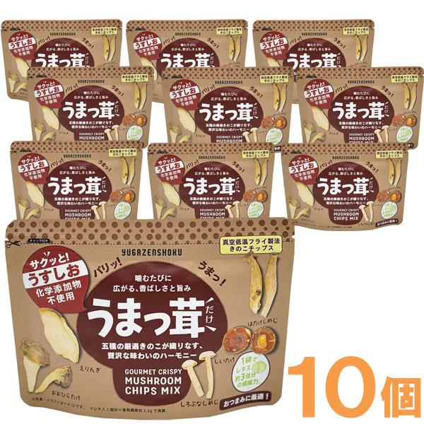 【関連ワード】真空低温フライきのこチップス,うまっ茸,きのこチップス,真空低温フライ,しいたけチップス,エリンギチップス,おおひらたけ,しろぶなしめじ,はたけしめじ,原木栽培,5種のきのこ,乾燥きのこ,きのこスナック,サクサクきのこ,ヘルシ...