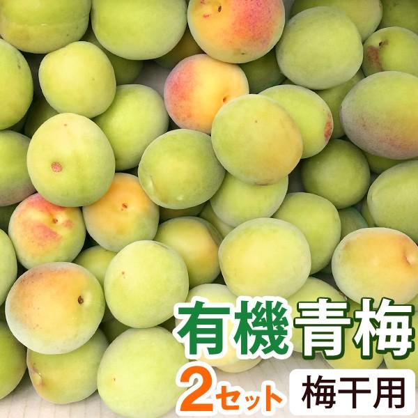 【青梅をご予約のお客様へ】収穫後すぐに発送いたしますが、生梅は運送途中で熟成が進みます。あらかじめご了承ください。届きましたらすぐに開封いただきますようお願いいたします。詳しくはPCページをご確認ください。