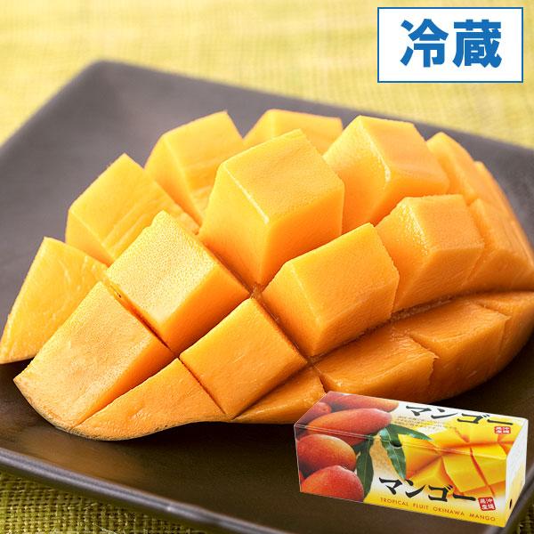 【関連ワード】お歳暮,御歳暮,おせいぼ,ウインターギフト,ウィンターギフト,夏ギフト,サマーギフト,お中元,御中元,お年賀,御年賀,暑中お見舞い,暑中,残暑お見舞い,残暑見舞,残暑,御見舞,寒中お見舞い,寒中見舞,寒中,年始挨拶,贈りもの,...