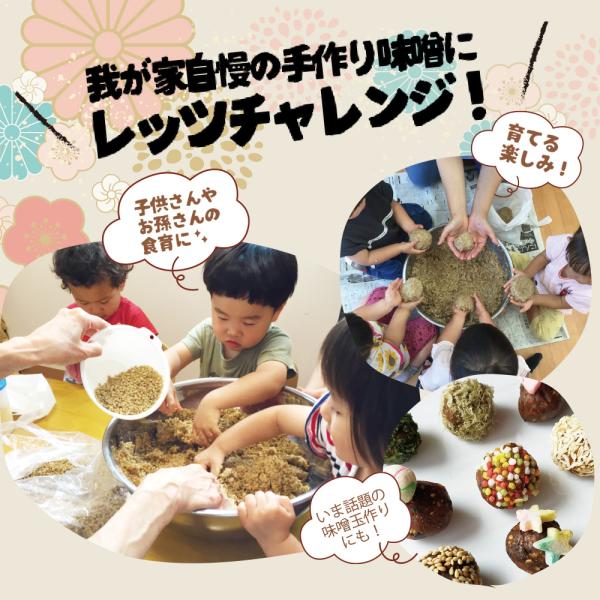 《公式》初心者でもカンタン！河内手作り味噌セット蒸し大豆使用（麦味噌/約5.5キロ出来上がり）自分で作る手作り味噌セット！初めての方でも簡単なのでお子さんやお孫さんの食育にも♪できあがり量たっぷり5.5kgなので家族みんなで楽しめるお味噌キ...