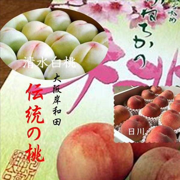 岸和田包近(かねちか)の桃は100年以上の歴史があります。摘蕾(てきらい)と摘果をし、ひとつひとつ袋かけをして大切に育てられた包近の桃は、消費地に近いという立地を生かし「木熟桃」として出荷されます。強い甘味の中にまろやかさ兼ね備えた桃です。...