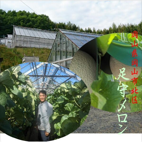 甘み・熟度・香り・果汁　足守メロンは絶品!!今ではほとんど出回らない足守地区のメロン。現在八名の生産者！！当店が推奨します。（当店のおすすめポイント）とにかく甘すぎるぐらいになってしまうという森さんのメロン。糖度を抑えすぎて15度。しかも甘...