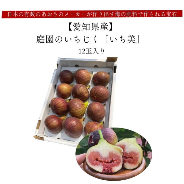 日本の有数のあおさのメーカーが作り出す海の肥料で作られる宝石有機100％の自社肥料「マリンプランツ」を活用した土づくりと常春地域ならではの温室内管理に気を配りながら、子育てママ達がイチジクを栽培しています。艶やかな赤紫色のイチジクは日差しを...
