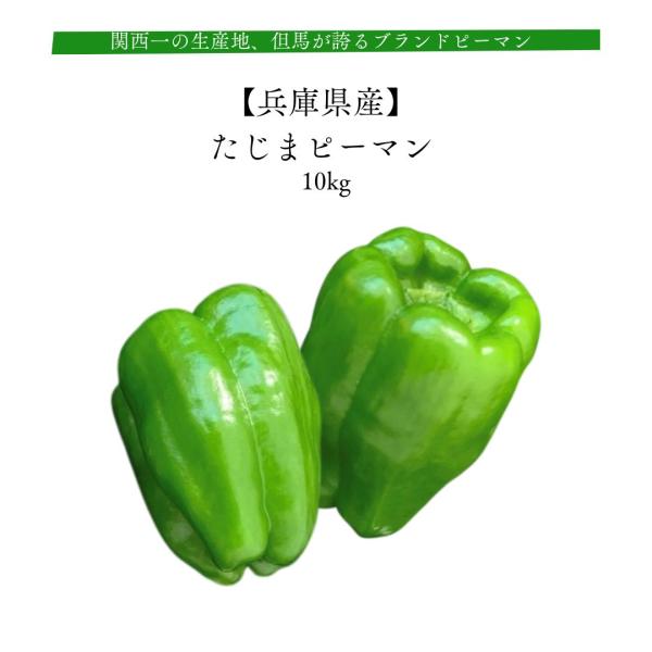 肉厚で苦みの少ない「たじまのピーマン」実がとても肉厚で、しっかりとした歯ごたえのある、たじまのピーマン。ピーマン特有の苦みが少なく、お子様にも喜んで食べて頂けます。是非一度、冷やしたピーマンを「生」でご賞味ください。もろみ味噌を添えても絶品...