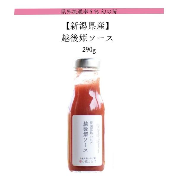 新潟県外での流通率5％ 新潟県民に愛される幻の完熟いちごの越後姫を贅沢に使ったソースです。 使い勝手が良く、贈り物としても人気です。 苺の爽やかな酸味は「毎日でも食べたい」と感じさせ、すっきりとした程よい甘さを口いっぱいに満喫できます。 幸...