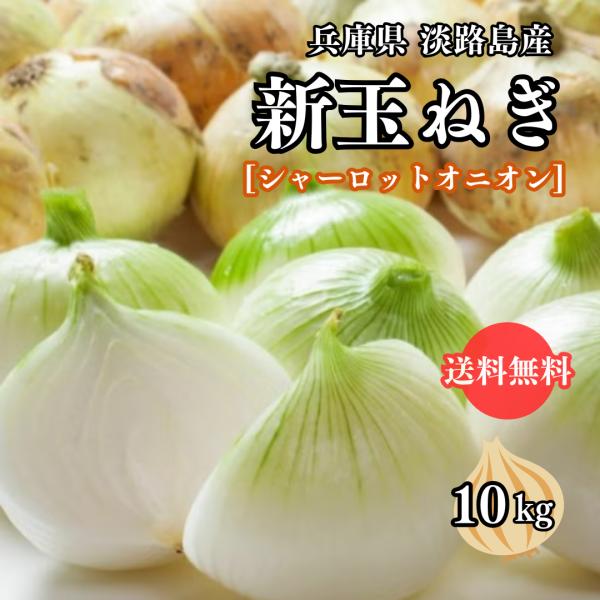 柔らかく甘い新玉ねぎ限界低農薬で安心安全のシャーロットオニオンの新玉ねぎ。生でも十分甘味がありますが、熱を加えることにより更に甘味が増しトロトロに。苦味は全く無くとても甘味があり、なおかつやわらかくスライスサラダには超最適。もちろん時短で炒...