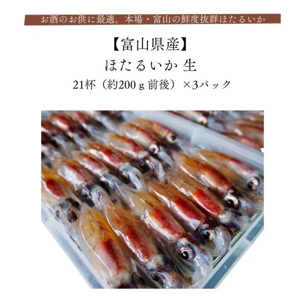 鮮度抜群の生ほたるいか漁師直送ならではの獲れたてほたるいか。お刺身、ボイルやしゃぶしゃぶ、炒め物や自家製沖漬けなど、生ほたるいかならではの様々な調理ができ、いろいろとお楽しみいただけます。お酒好きな方へのプレゼントとしても最適です。プリッと...