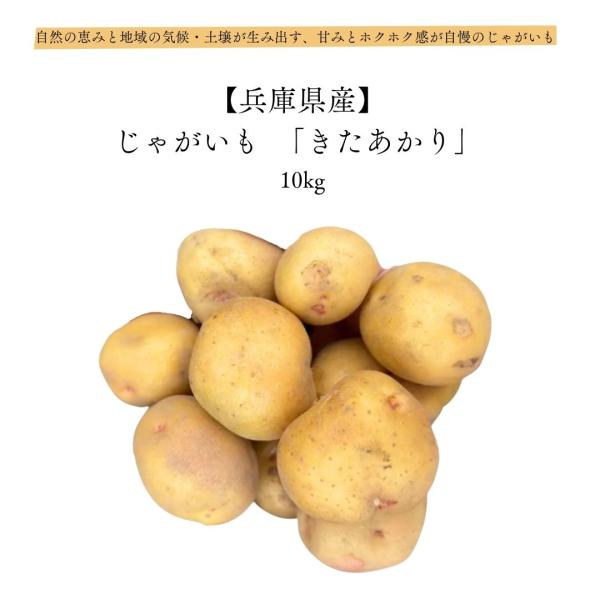 鮮度と味に自信あり、「きたあかり」鮮度を保つために土付きで出荷。収穫時には、害虫や傷みを丁寧にチェックし、品質管理を徹底しています。味の濃さとホクホク感、そして皮ごと食べられる安全性が自慢です。ぜひこの機会に味わってみてください。原料：じゃ...