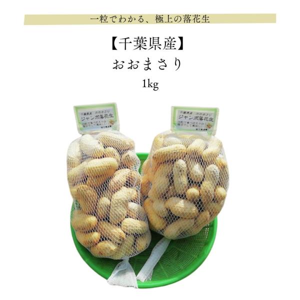 【発売日：2026年08月23日】甘くホクホク食感のおおまさり期間限定でしか味わえない希少な落花生。その大きさと甘み、そしてホクホク感は、一度食べたら忘れられません。塩ゆでしても良し、軽くオーブンでローストしても良し。ご自宅用にはもちろん、...