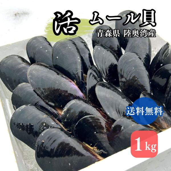 一口でわかる、国産ムール貝の実力陸奥湾の恵まれた環境と生産者の丁寧な仕事が生み出す活ムール貝。鮮度・旨み・使いやすさを兼ね備えた、家庭でも本格的な味わいを楽しめる逸品です。内容量：陸奥湾 活ムール貝( 1kg )　※1kgあたり15個前後（...