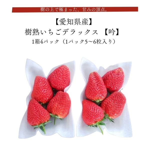一粒で伝わる、“吟”という名の理由樹で完熟させたからこそ生まれる、濃厚な甘みと芳醇な香り。樹熟いちごデラックス『吟』は、● 樹上完熟● 大粒● 数量限定という条件が揃った、特別ないちごです。自分へのご褒美に、大切な人への贈り物に。“本当に美...