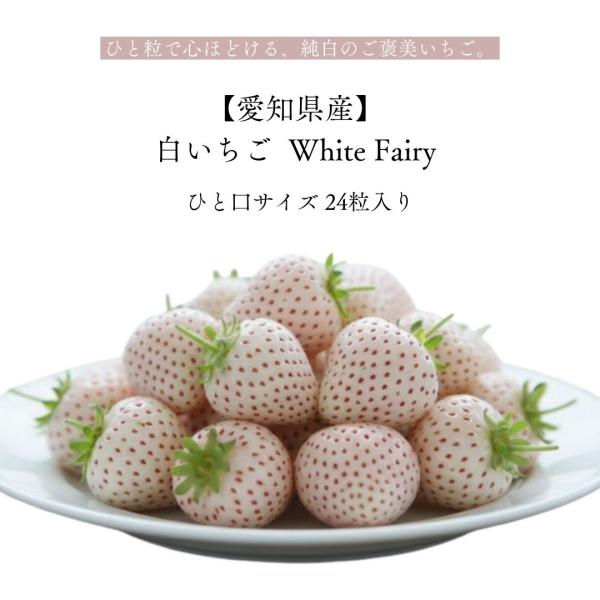 記憶に残る贈り物に ― 白いちごという選択白いちご White Fairyは、希少性・美しさ・味わいのすべてを兼ね備えた特別な存在。自分へのご褒美にも、大切な人への贈り物にもふさわしい一品です。日常を、少しだけ特別にしてくれる。そんな体験を...