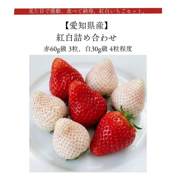 贈る気持ちまで美しく伝える、紅白いちご「紅白詰め合わせ」は、見た目の華やかさ、味わいの違い、希少性と品質すべてを兼ね備えた特別な苺ギフトです。お祝いの日に、感謝を伝えたいときに、記憶に残る一箱として、ぜひお選びください。※赤い苺は「紅ほっぺ...