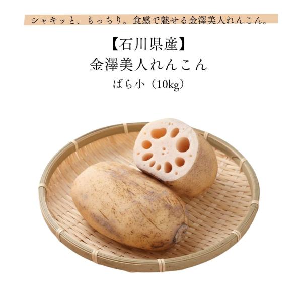 鮮度が語る、健康のしるし赤きをまとった一本は、土の中でいままで呼吸していた証。栽培から出荷までの丁寧な仕事が、素材本来の旨みと安心を届けます。日々の料理を上質に引き上げる、信頼の金澤美人れんこんです。保存方法：常温お届けまでの日数：1週間前...