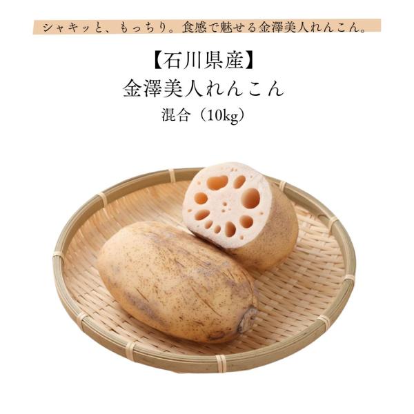 鮮度が語る、健康のしるし赤きをまとった一本は、土の中でいままで呼吸していた証。栽培から出荷までの丁寧な仕事が、素材本来の旨みと安心を届けます。日々の料理を上質に引き上げる、信頼の金澤美人れんこんです。保存方法：常温お届けまでの日数：1週間前...