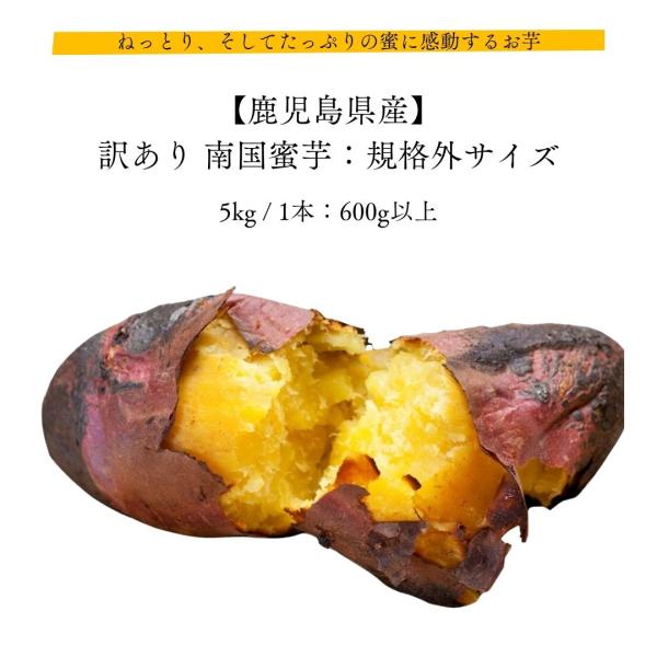 じっくり貯蔵した南国蜜芋専用貯蔵庫にて、3ヶ月以上じっくり熟成させた紅はるかです。蜜が滴る焼き芋がおすすめ。もちろん焼き芋以外の料理、お菓子にもおすすめ。見た目より味重視で栽培されたので、見た目は完璧ではないかもしれない、でも味は本物。大変...