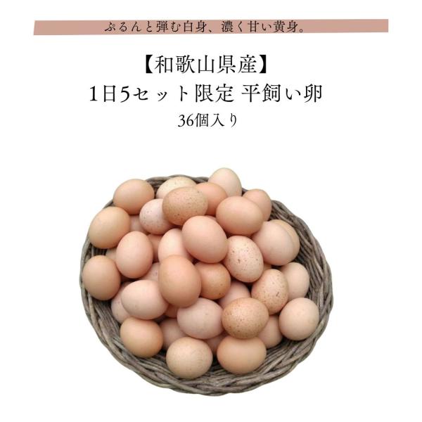 毎日の食卓に、“本当に美味しい卵”を平飼い卵は、鶏たちの健やかな暮らしから生まれる、こだわりの卵です。自然に近い環境、丁寧な飼育、そして生産者のまっすぐな想い。そのすべてが、一口の美味しさにつながっています。毎日の食卓だからこそ、少しだけこ...