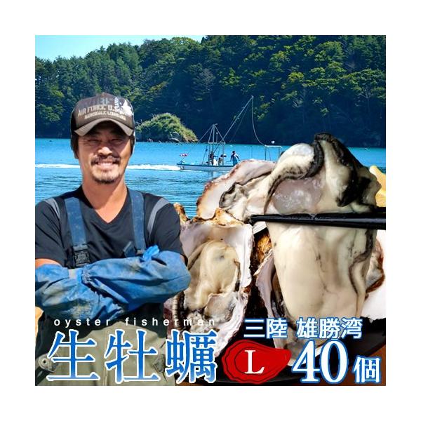 ※9月−1月の秋冬期間は牡蠣の放卵時期となり、身が痩せ気味になるなど身入りにバラつきがある場合がございますので予めご了承の程お願いいたします。世界三大漁場である美しいリアス式海岸の三陸、豊かな山々から流れ出る栄養たっぷりの湧き水、海底からも...