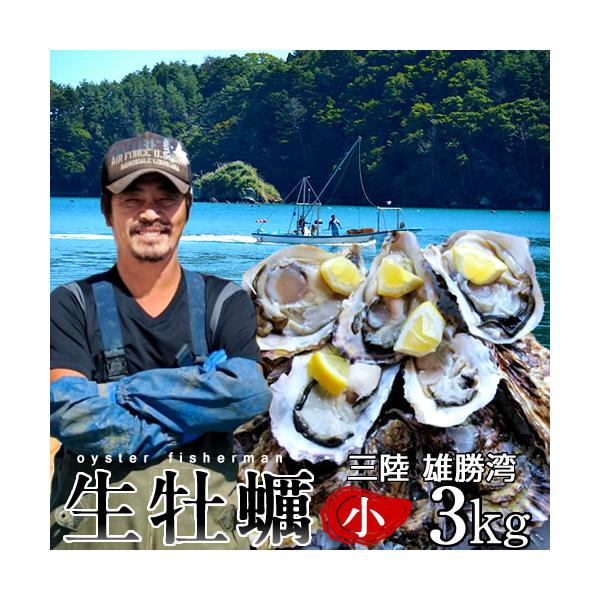 世界三大漁場である美しいリアス式海岸の三陸、豊かな山々から流れ出る栄養たっぷりの湧き水、海底からも水が湧き出ているためにここ雄勝湾はミネラルが豊富な海水として知られています。通常、カキの養殖は浅場や内湾で行われますが、雄勝湾では大きな川が無...