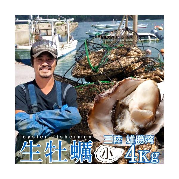 世界三大漁場である美しいリアス式海岸の三陸、豊かな山々から流れ出る栄養たっぷりの湧き水、海底からも水が湧き出ているためにここ雄勝湾はミネラルが豊富な海水として知られています。通常、カキの養殖は浅場や内湾で行われますが、雄勝湾では大きな川が無...