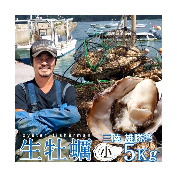 世界三大漁場である美しいリアス式海岸の三陸、豊かな山々から流れ出る栄養たっぷりの湧き水、海底からも水が湧き出ているためにここ雄勝湾はミネラルが豊富な海水として知られています。通常、カキの養殖は浅場や内湾で行われますが、雄勝湾では大きな川が無...