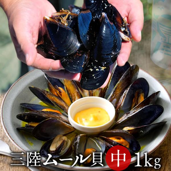 テレビ 満天青空レストランで放映され、いま話題のムール貝を三陸より朝どれをお届けいたします。※活ムール貝の身入り安定期は［春］3月〜5月頃、［秋］9月〜11月頃が目安となっておりますので、その時期のお届けを推奨しております。世界三大漁場であ...