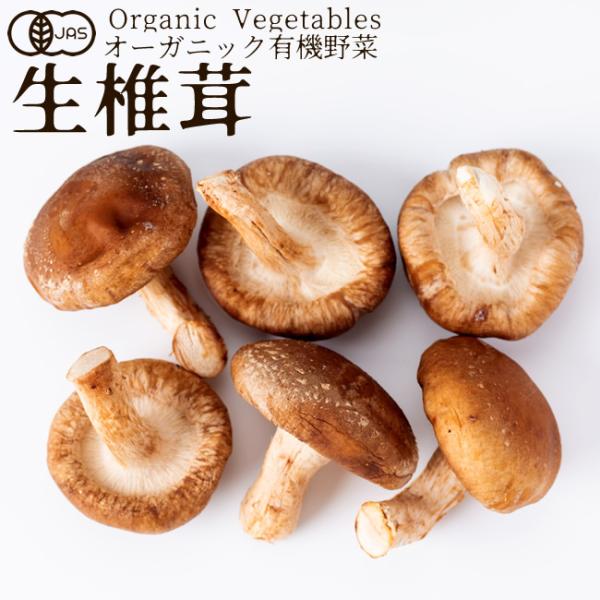 私たちは生産から消費に至るまでに関わる全ての人々が笑顔になるために農産物を通して「ご縁と感謝」をコンセプトとしております。北海道から九州まで、全国約40か所の有機生産者と契約し、日本の中心部に位置する愛知県配送センターに集荷、仕分けから梱包...